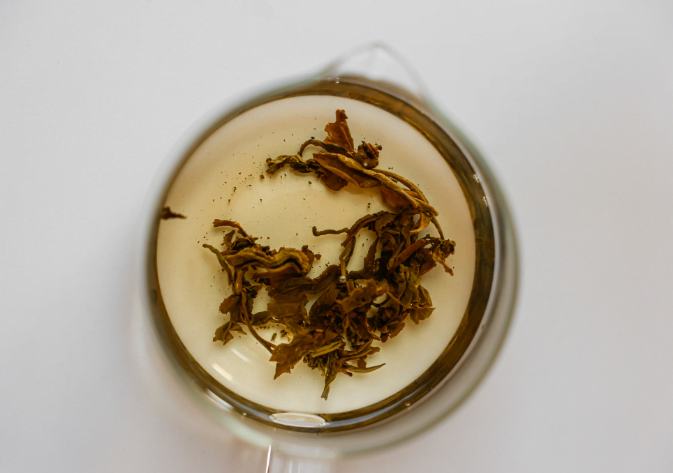 Good Morning Brew - Herbs4You